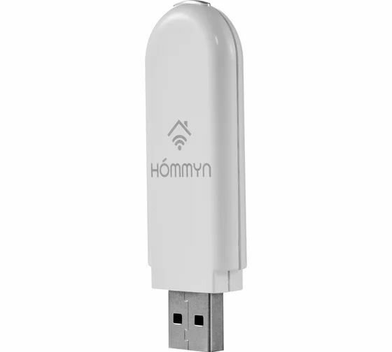 Съемный управляющий модуль HOMMYN HDN/WFN-02-01 НС-1416708