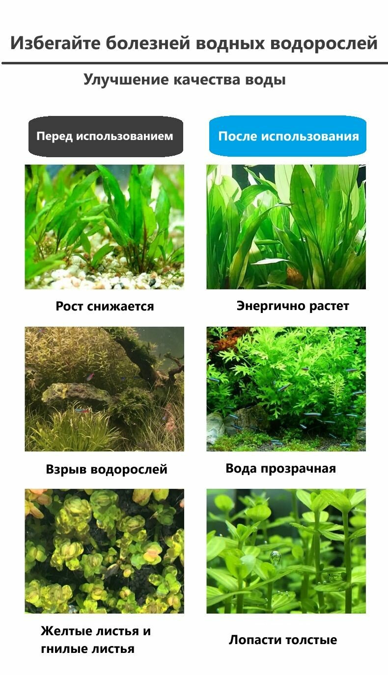 Система генератора CO2 для аквариума / 2 литра / электромагнитный клапан-6.13-20%
