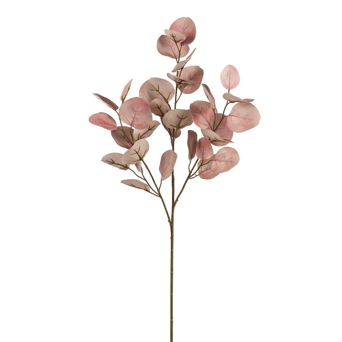 Ветка декоративная "Эвкалипт" #108357-401 Fiebiger Floristik 72 см