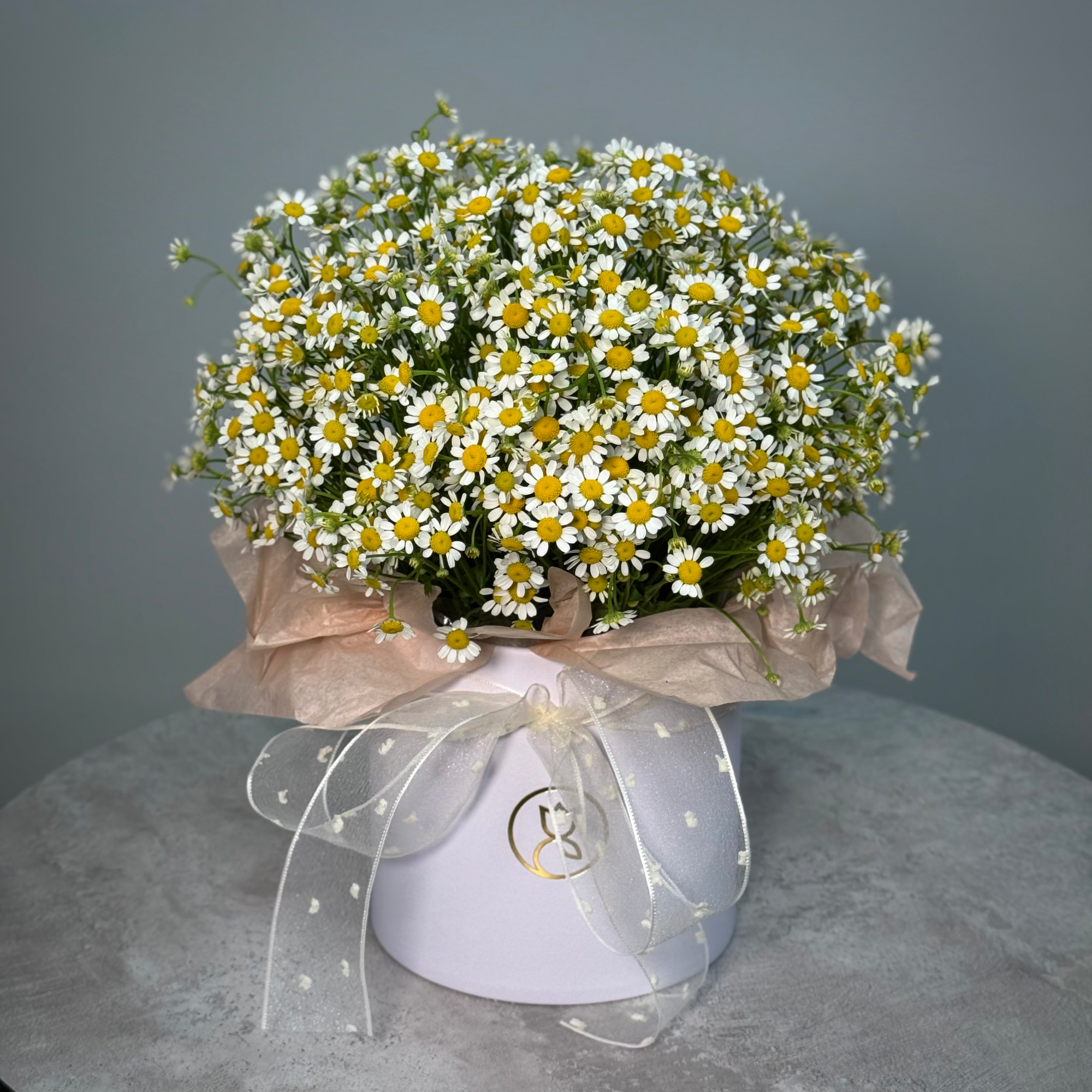 Ромашка в шляпной коробке S от «365 Поводов» - живые цветы с доставкой