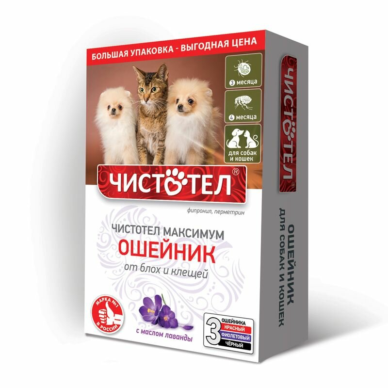 Чистотел Максимум ошейник 40 см 3 шт для кошек и мелких собак от блох и клещей, набор разноцветных защитных ошейников от вшей и власоедов, противопаразитарный ветпрепарат фипронил и перметрин