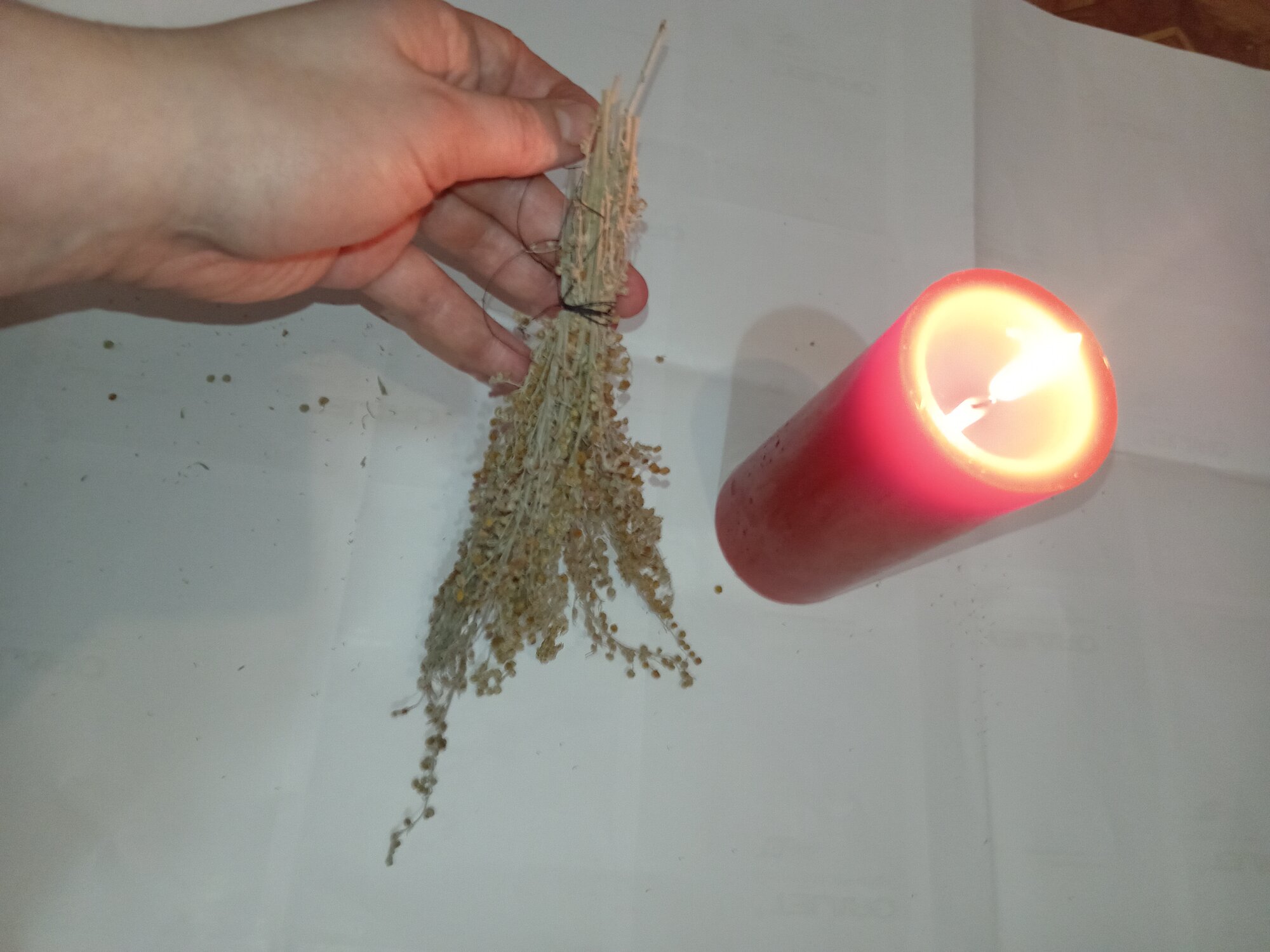 Пучок полыни для дома повесить или полынь для окуривания помещений