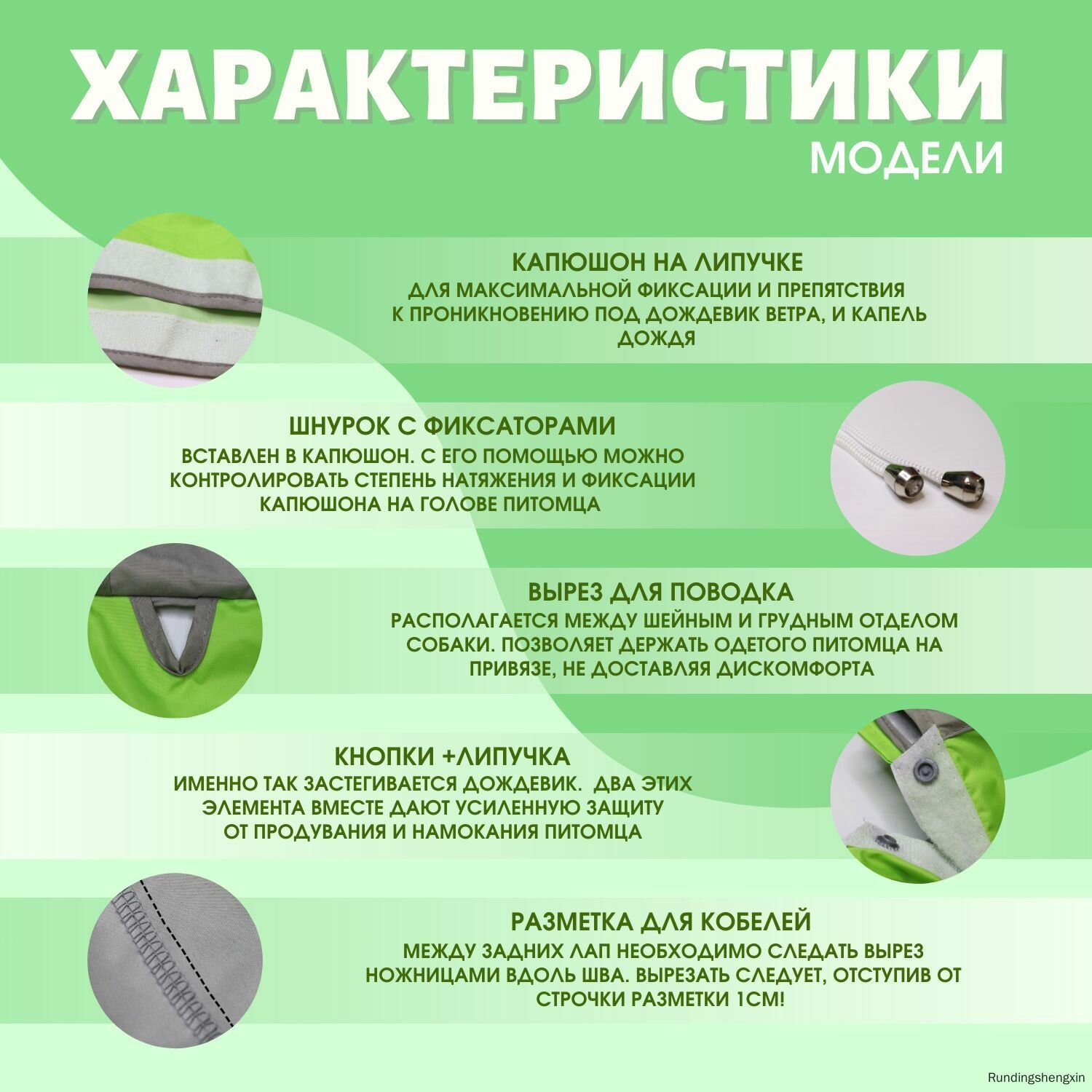 Одежда для животных — фото 1