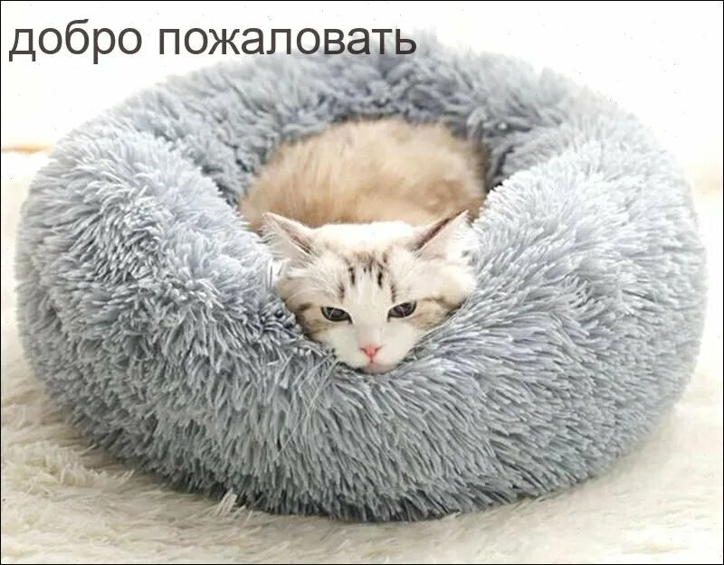 Лежанка экомех премиум, подстилка для кошек и собак мелких и средних пород с мехом, лежак для животных с бортиками, матрасик 45 x 35 см