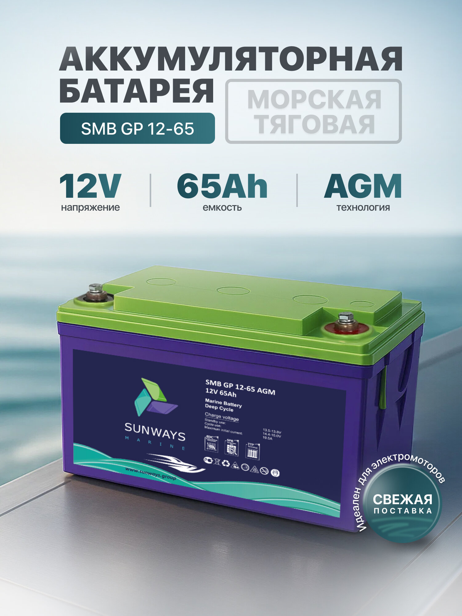 Аккумулятор SUNWAYS GP 12В 65Ач (12V 65Ah), тяговый аккумулятор, для ИБП, 1 шт