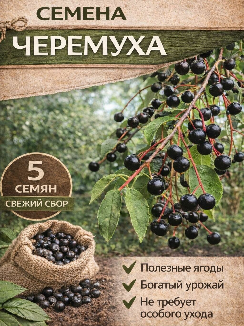 Черемуха обыкновенная - Семена 5 шт