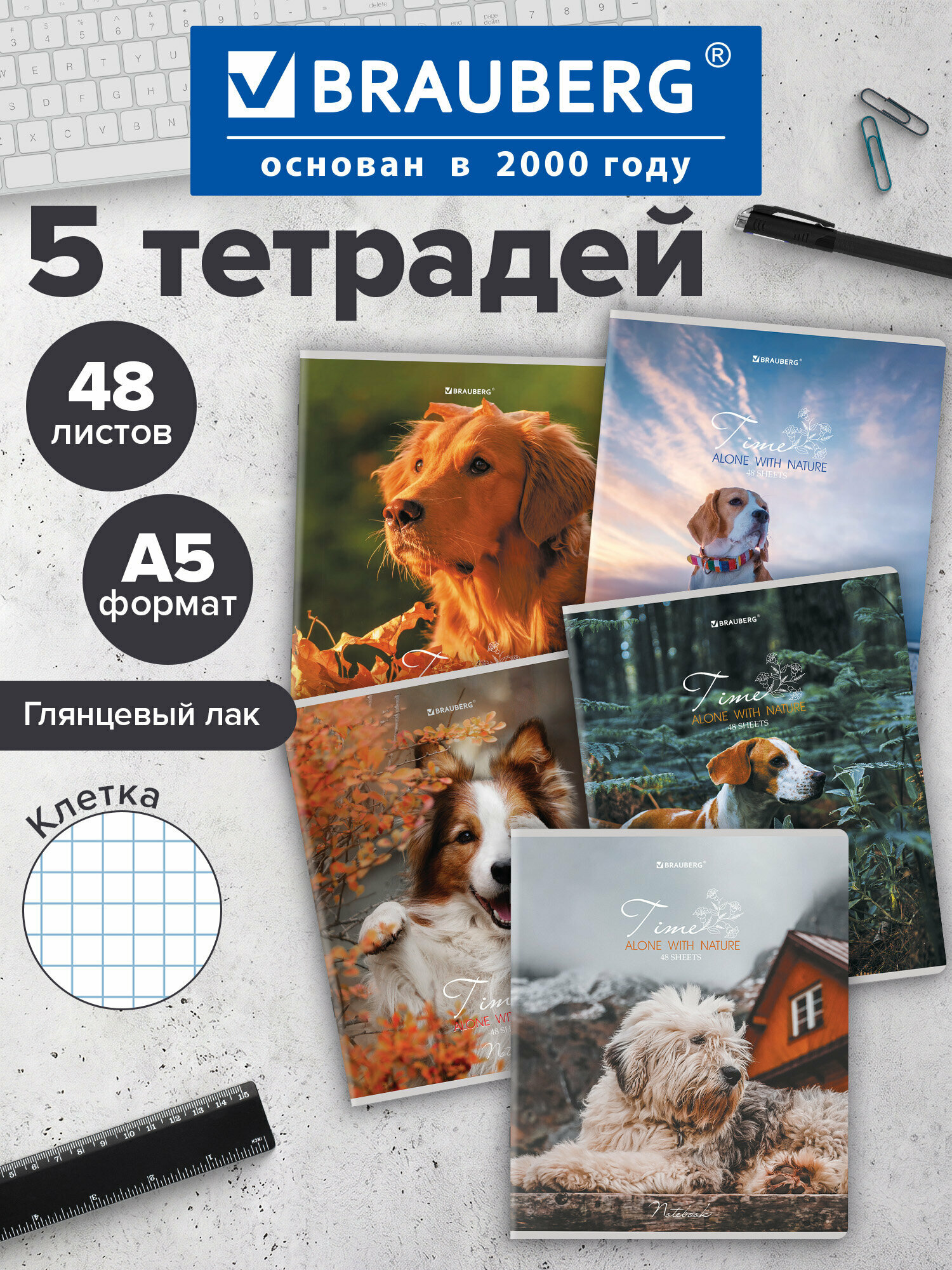 Тетрадь 48 листов в клетку А5 Комплект 5 штук Brauberg, скоба, клетка, глянцевый лак, Multicolor 404676