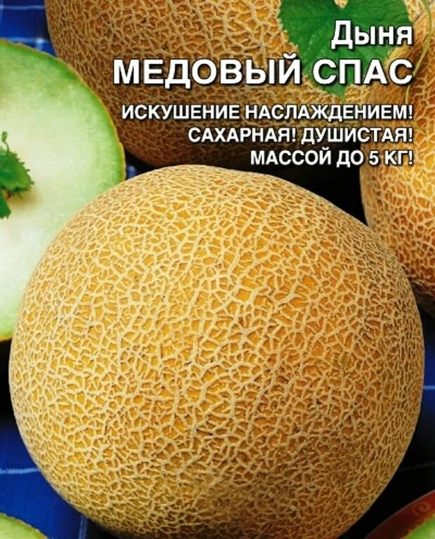 Коллекционные семена дыни Медовый Спас