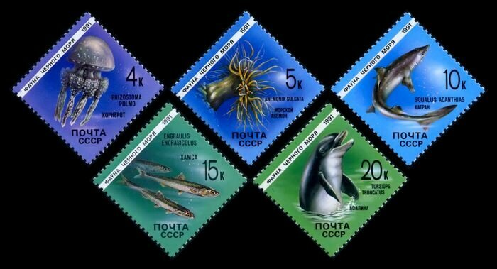 Почтовые марки СССР 1991 г. Фауна Черного моря. Серия из 5 марок. MNH(**)