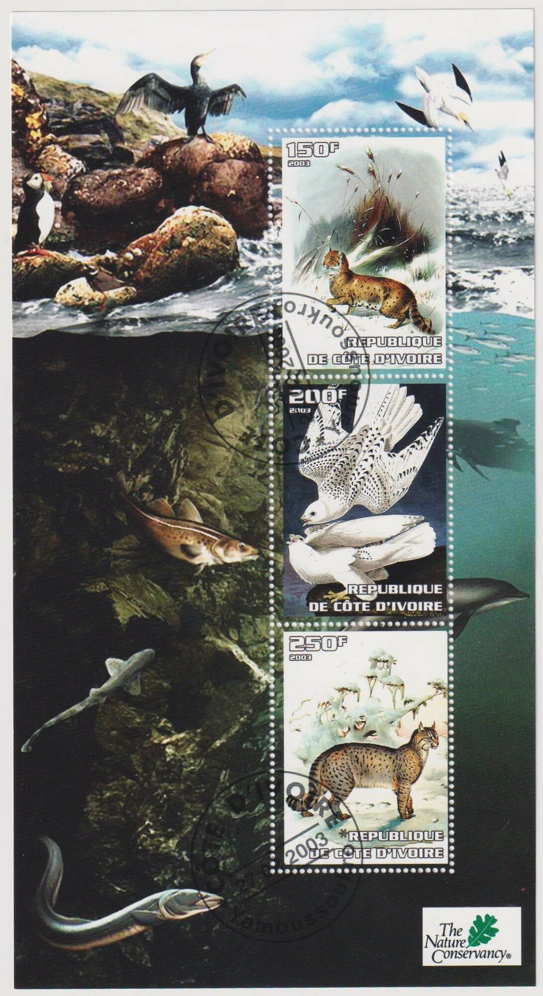 Почтовые марки Виртландия 2003г. "Фауна - фантастика" Птицы, Фауна, Кошки U