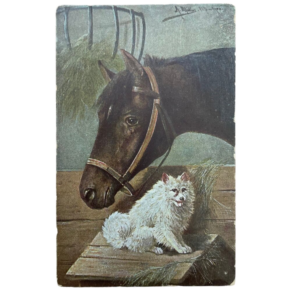 Почтовая открытка "Мюллер. Шпиц и бегун" 1900-1917 гг. Европа
