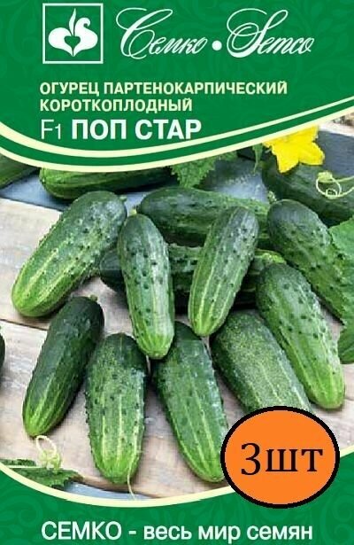 Семена Огурец Поп Стар F1 "Семко" (5шт) 3пакетика