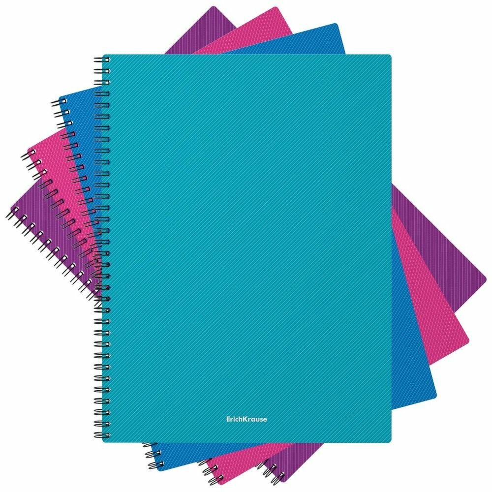 Тетрадь общая с пластиковой обложкой на спирали ErichKrause Glance Vivid, ассорти, А4, 80 листов, клетка