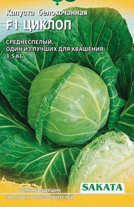 Семена Капуста б/к F1 Циклоп для квашения 20 шт.