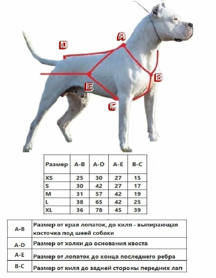 Шлейка для вейтпуллинга — фото 1