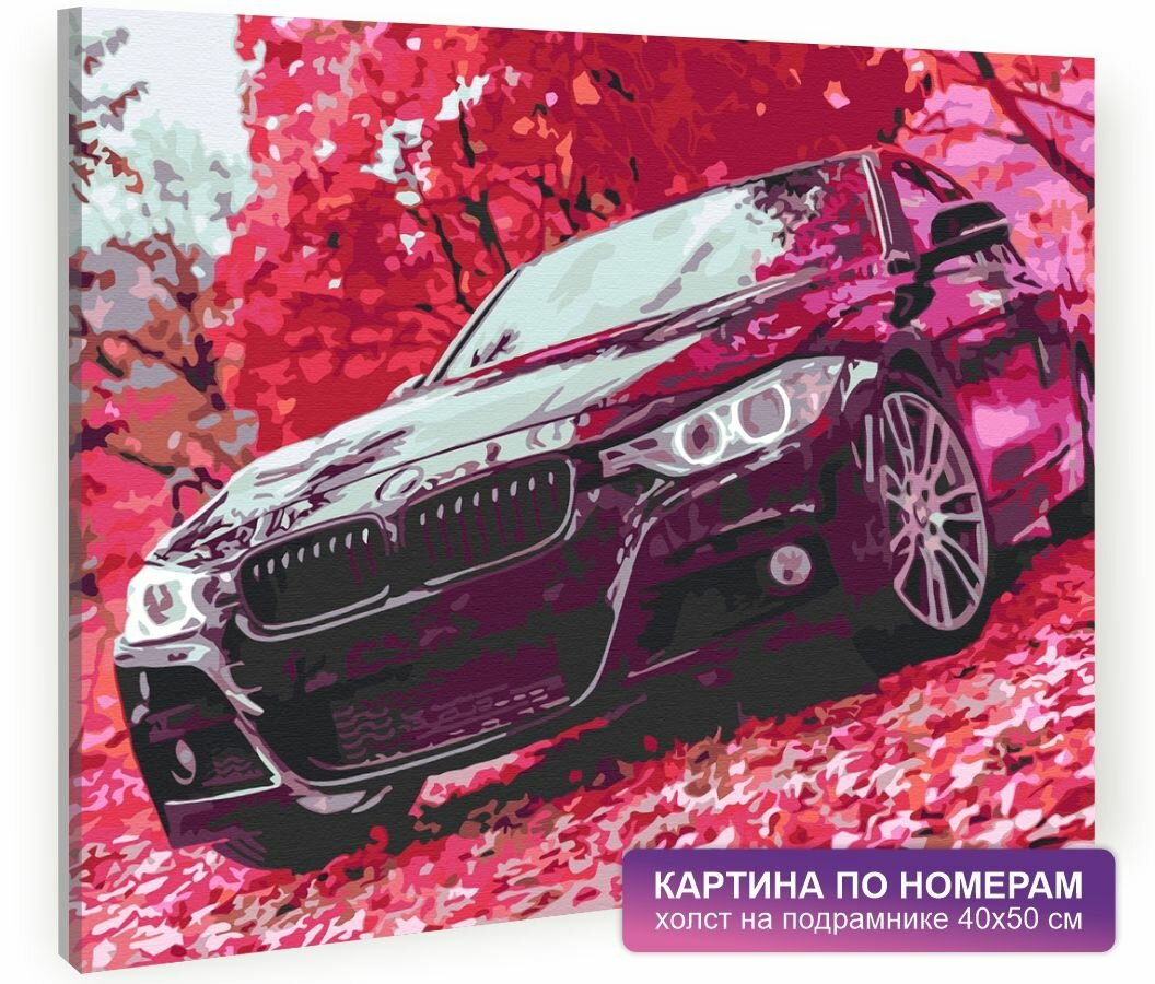 Картина по номерам на холсте с подрамником 40х50 см. Автомобиль, машина. "BMW F30", арт. 4547/