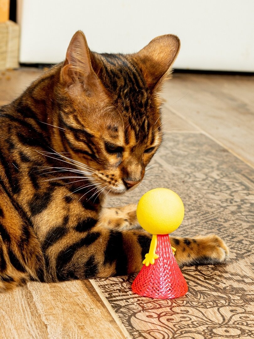 Игрушка для кошек и котят Japan Premium Pet Ракета в виде цыпленка.
