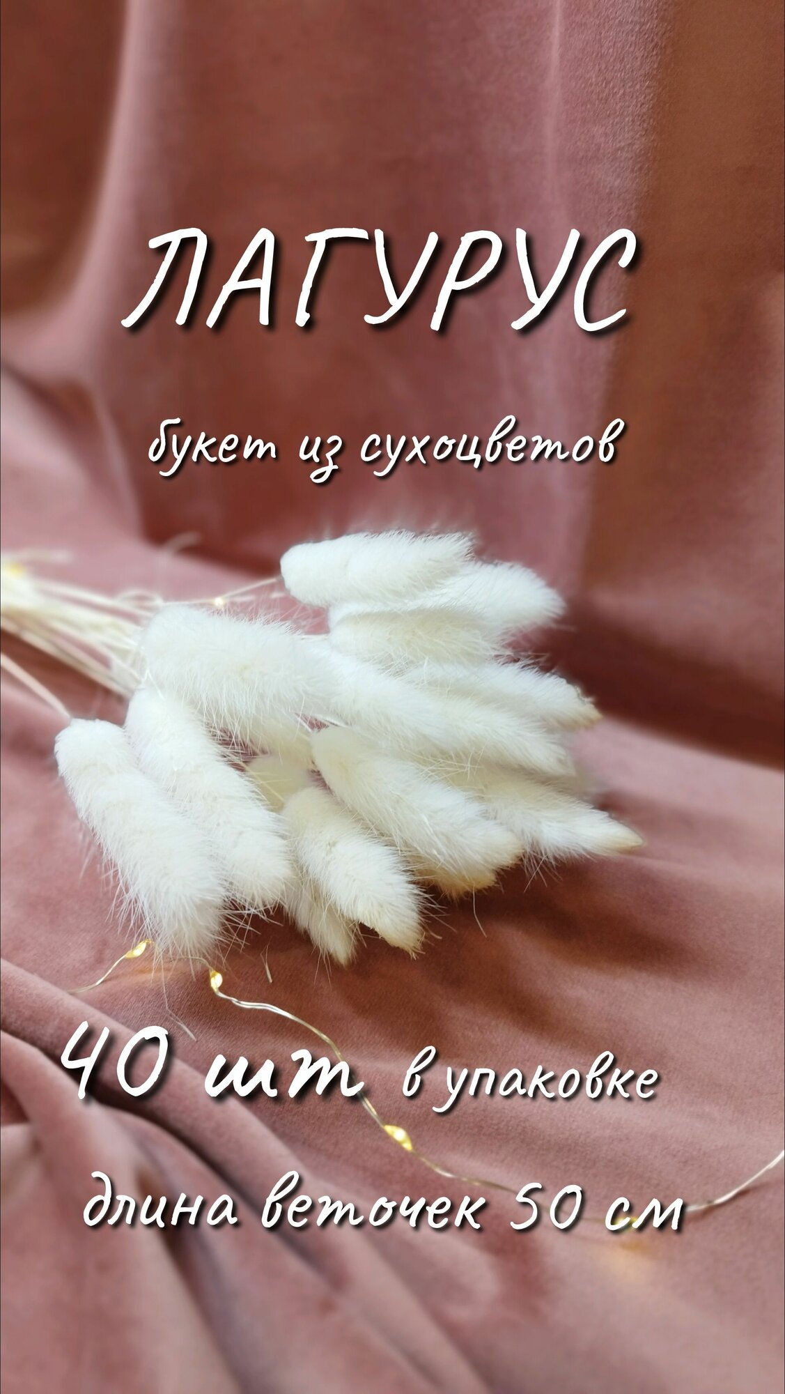 Лагурус букет из сухоцветов 40 шт
