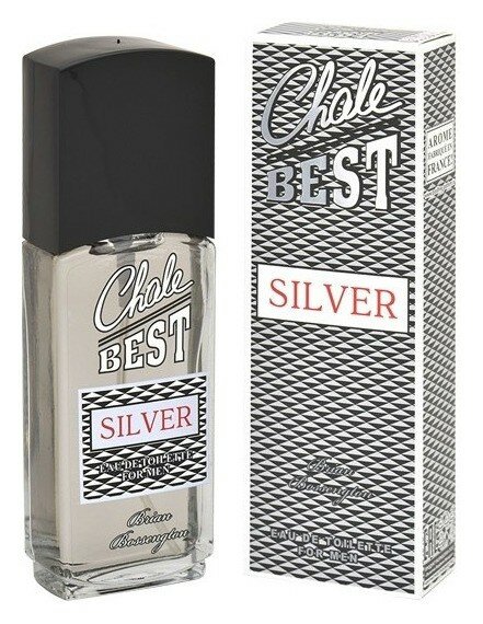 Туалетная вода Alain Aregon Туалетная вода мужская Silver (Объем 95 мл)