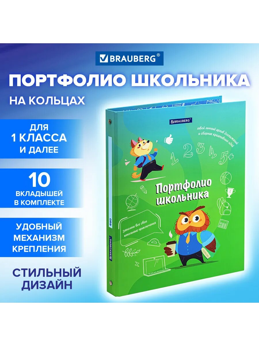 Папка-портфолио школьника, 20 файлов, 10 вкладышей
