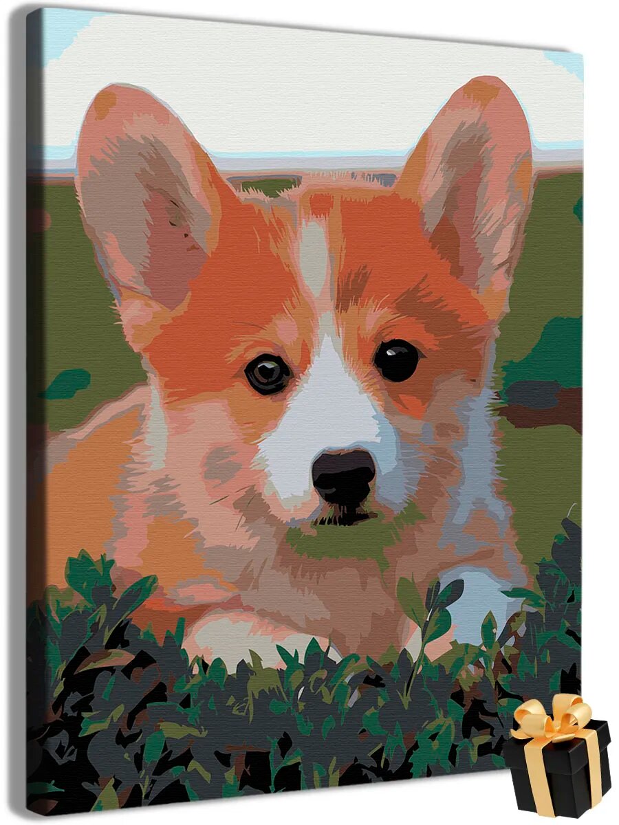 Картины по номерам Корги