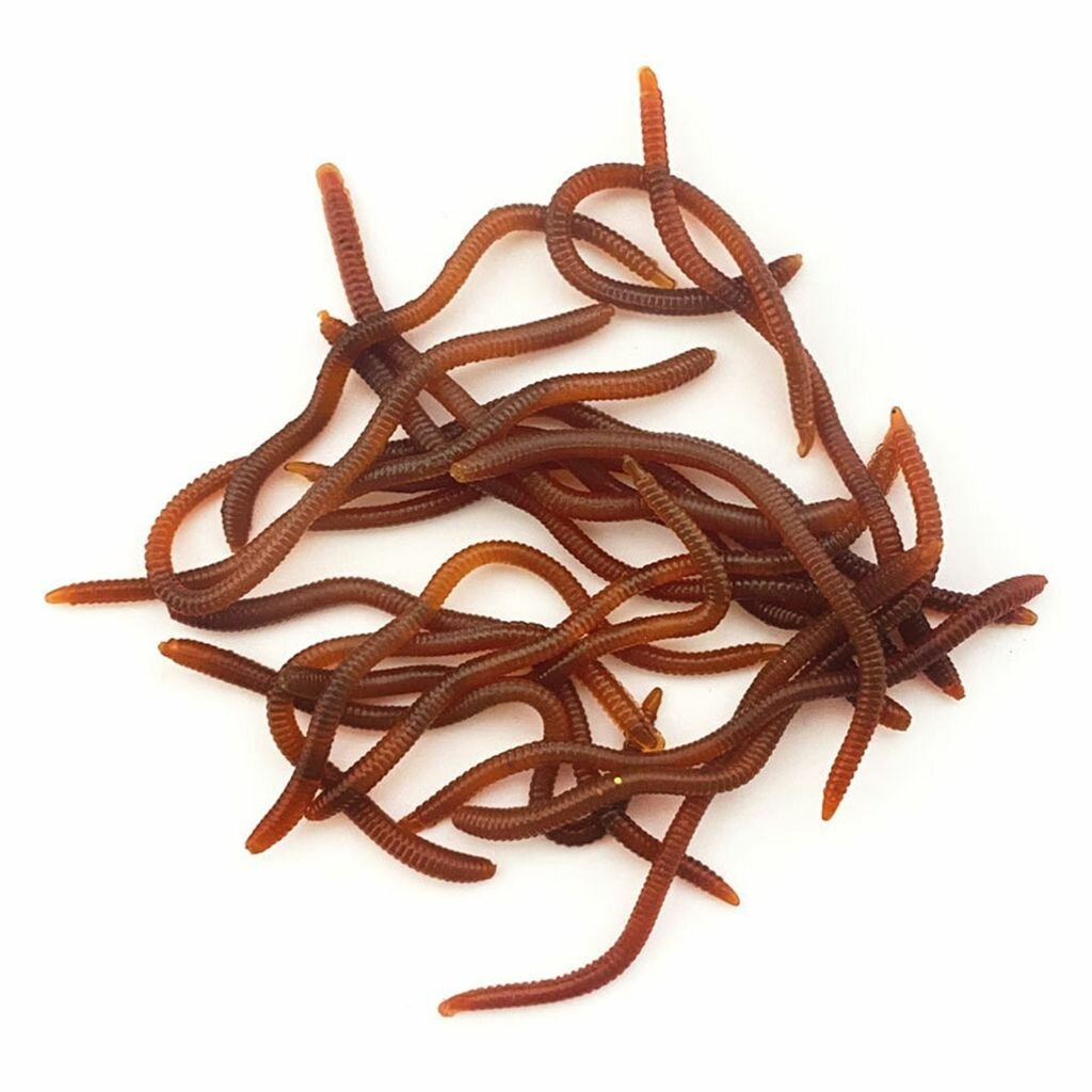 Набор бионических дождевых червей-упаковка объемом 8 см20 штук