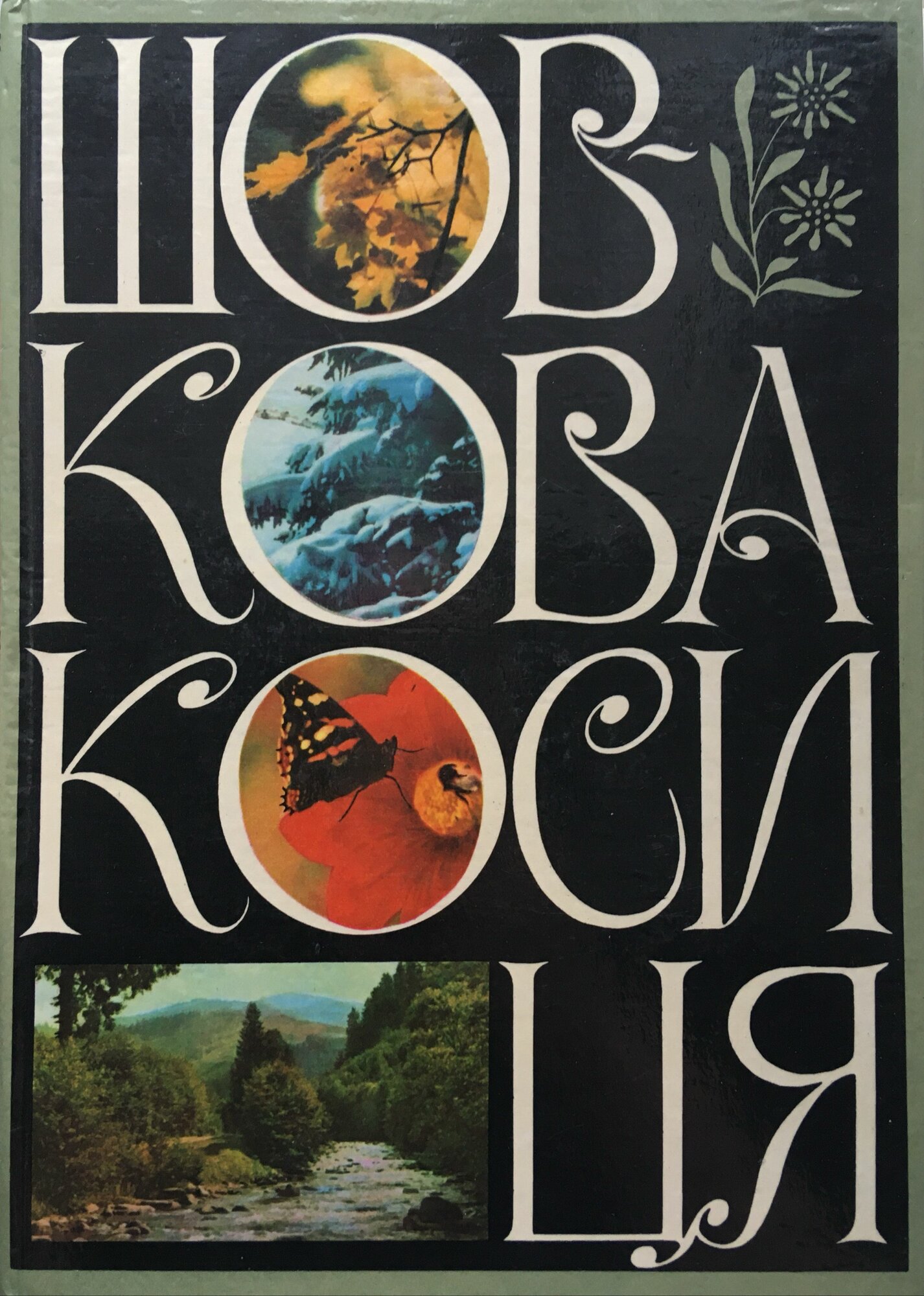 Шовкова косиця / Шелковый цветок. Фотоальбом