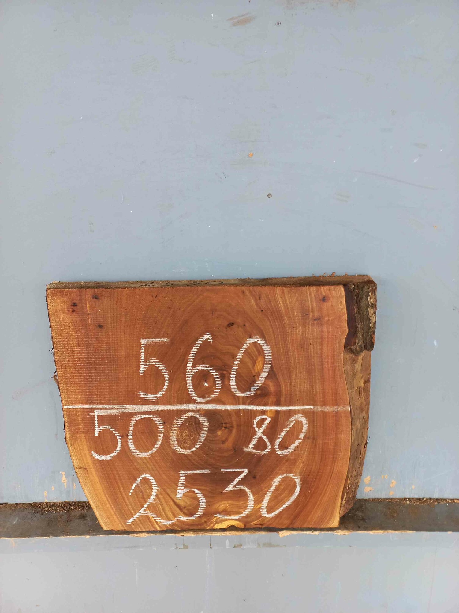 Слэб натурального дерева твёрдых пород Карагач №2530, 8*56*50 см, ДОКЛЕС