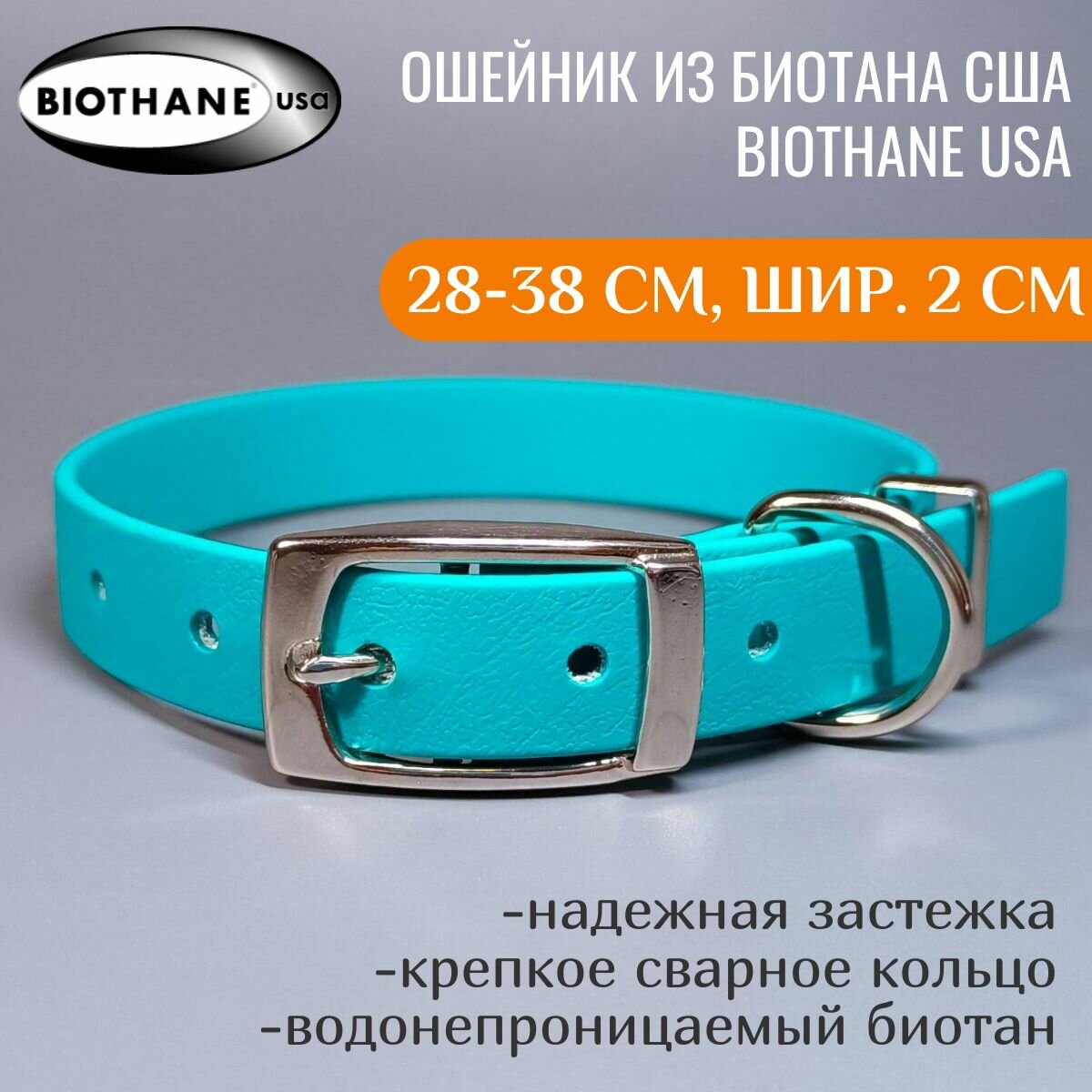 R-Dog Ошейник из биотана (Biothane USA), металлическая пряжка, цвет бирюзовый, длина 28-38 см, ширина 2 см