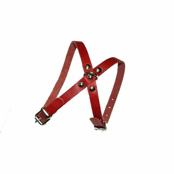 Шлейка для питомцев Аркон кожа, №8, красная