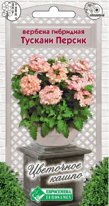 Вербена Тускани Персик гибридная (8сем)