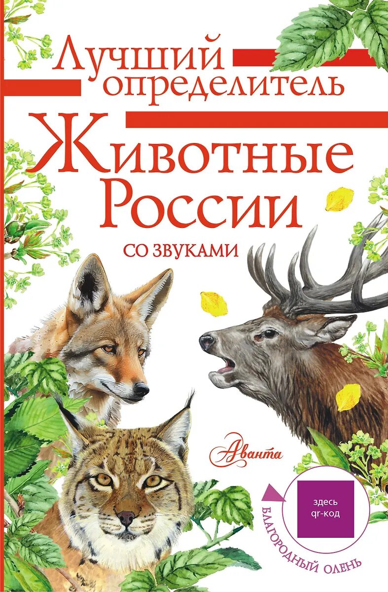 Детская энциклопедия АСТ Животные России со звуками, Беме И. Р, 2025 год, интегральный переплет, 96 стр