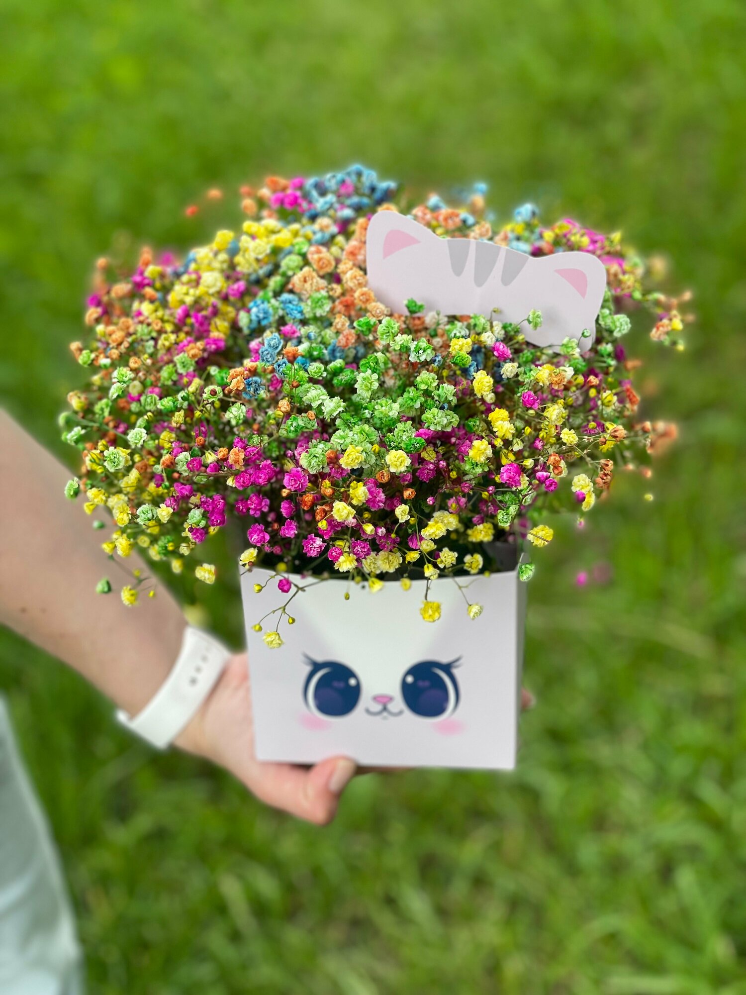 Гипсофила Сердце Флоры "Котёнок", в коробке, с инструкцией и подкормкой, в упаковке