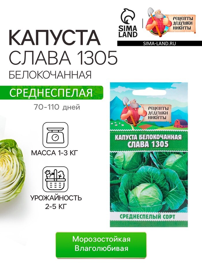 Семена Капуста белокочанная Слава 1305, 0.5 г, среднеспелая, Рецепты дедушки Никиты, 2 шт.