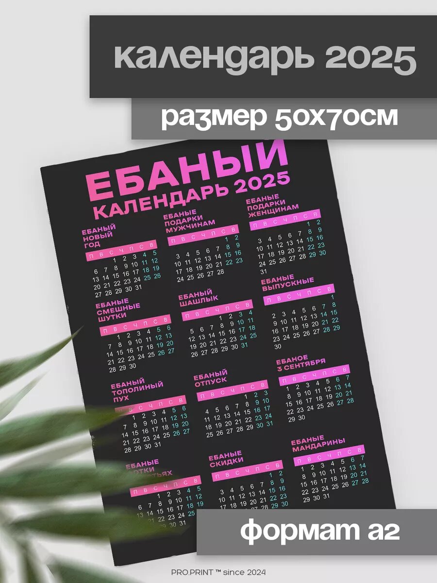 Прикольный календарь 2025 мем