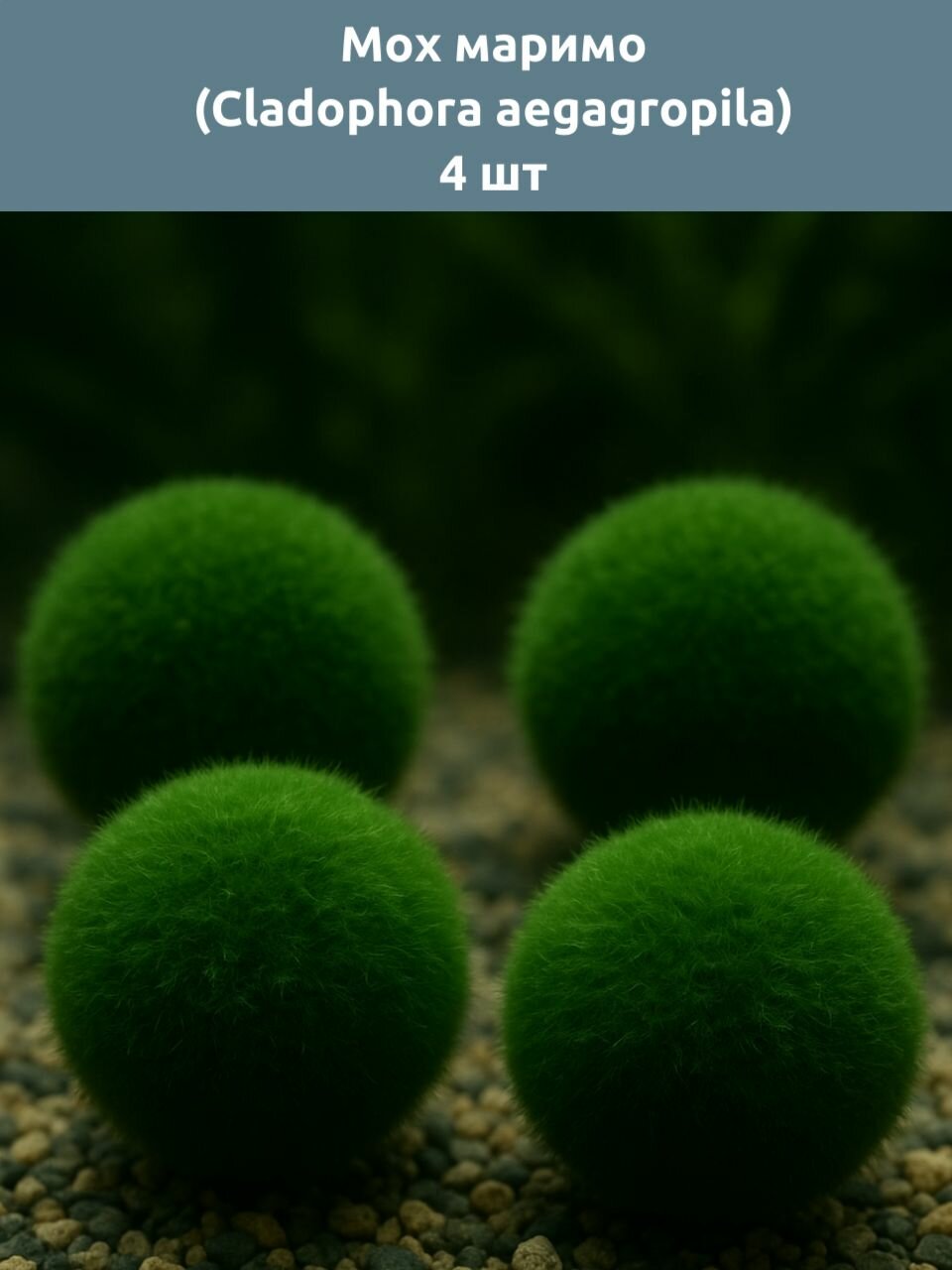 Декорация для аквариума