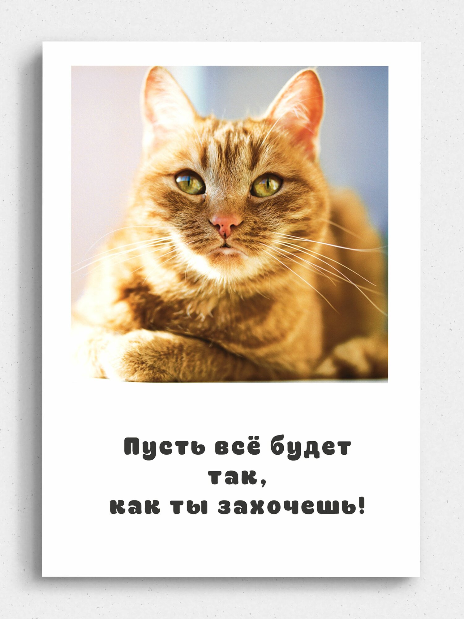 Открытка с котиком "Пусть всё будет так, как ты захочешь". A6. С конвертом.