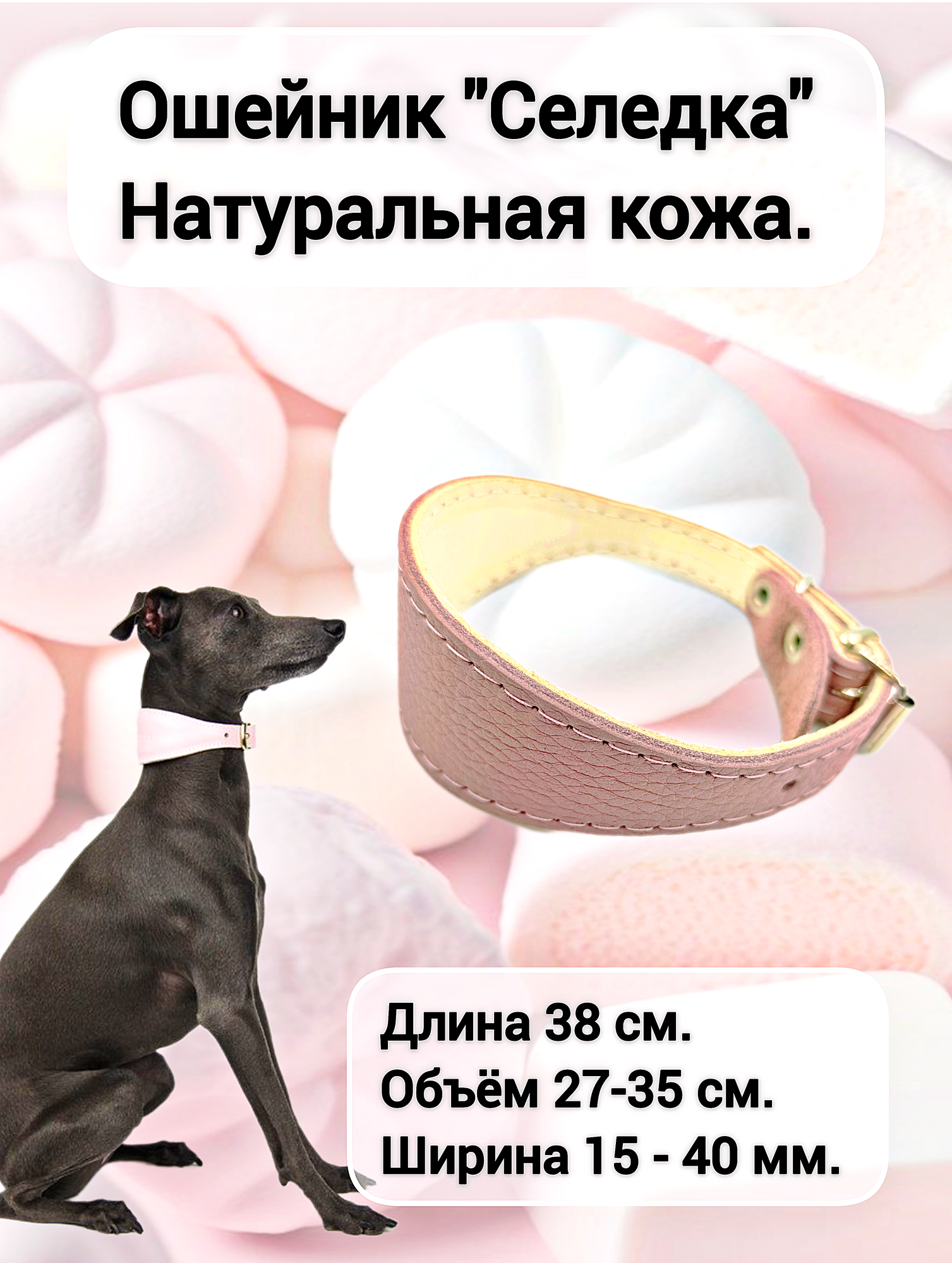 Ошейник "Селедка" из натуральной кожи.