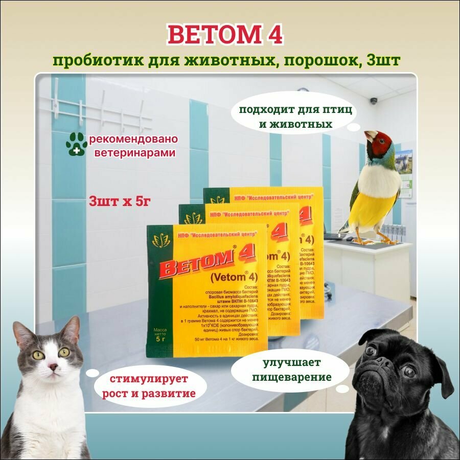 Пробиотик Ветом 4 для животных, кормовая добавка, для ЖКТ, 3 упаковки по 5 г