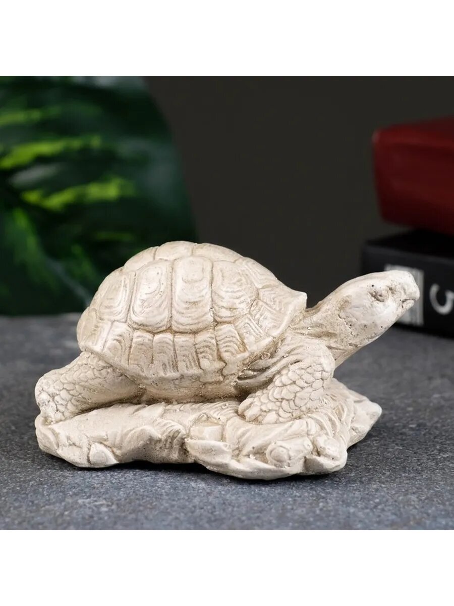 Элегантная фигура черепахи на камне