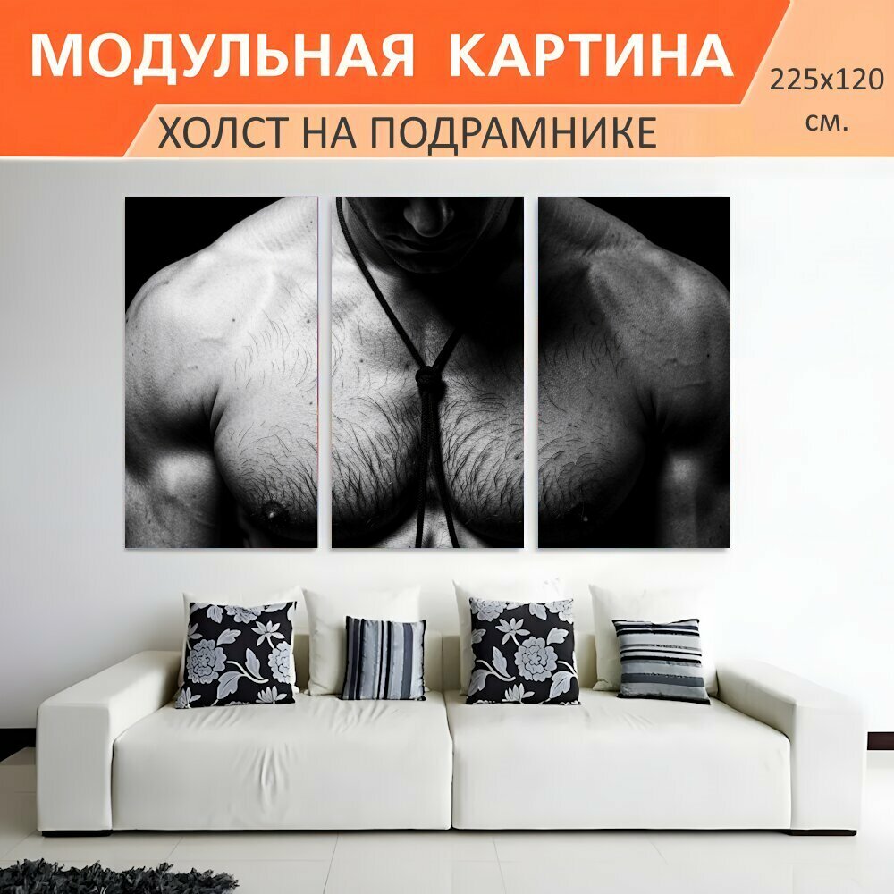 Модульная картина на холсте "Черно-белое фото крупным планом мужского торса с выраженной мускулатурой и грудными волосами, голова." триптих на подрамнике 225х120 см. для интерьера