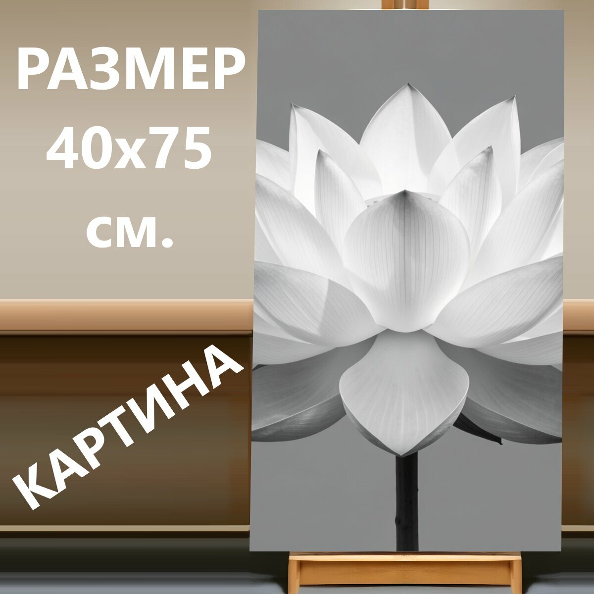 Картина на холсте "Белый лотос на сером фоне. Нежный цветок лотоса в монохромной гамме, крупные лепестки с тонкой текстурой и мягкими тенями." на подрамнике 75х40 см. для интерьера