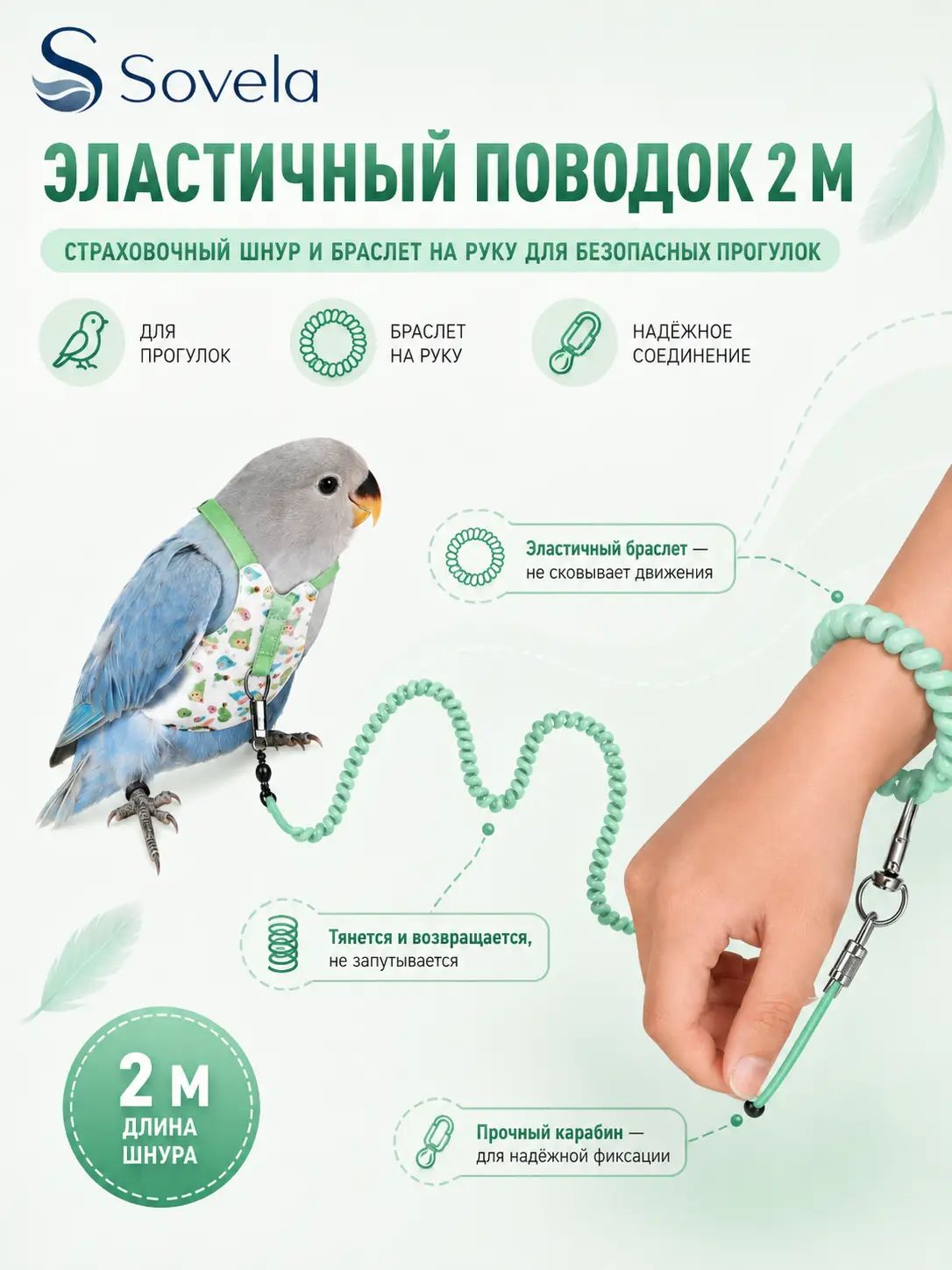 Летный костюм для попугая с поводком