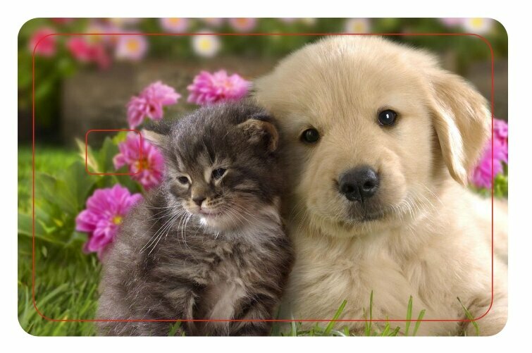 Наклейка на банковскую карту, стикер на карту, мемы, приколы, комиксы, стильная наклейка, животные, котята, щенята