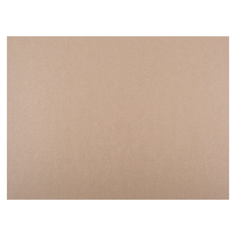 Невская Палитра Картон, 2000г/м2, 30х40см 1л