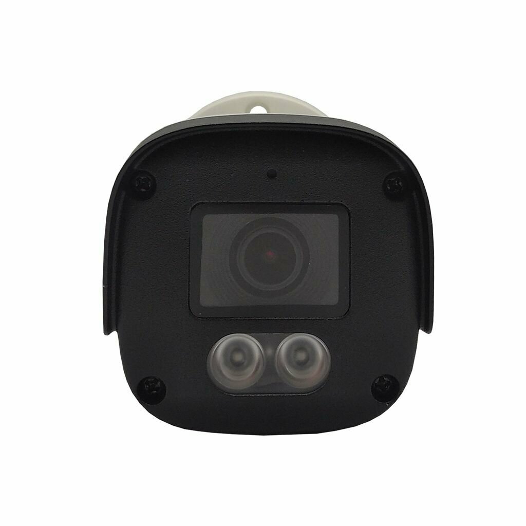 SK2503 TOWN(2,8) POE IP Уличная видеокамера 2,0Мп (1/2.9" Progressive scan CMOS) ИК-30 (Микрофон)