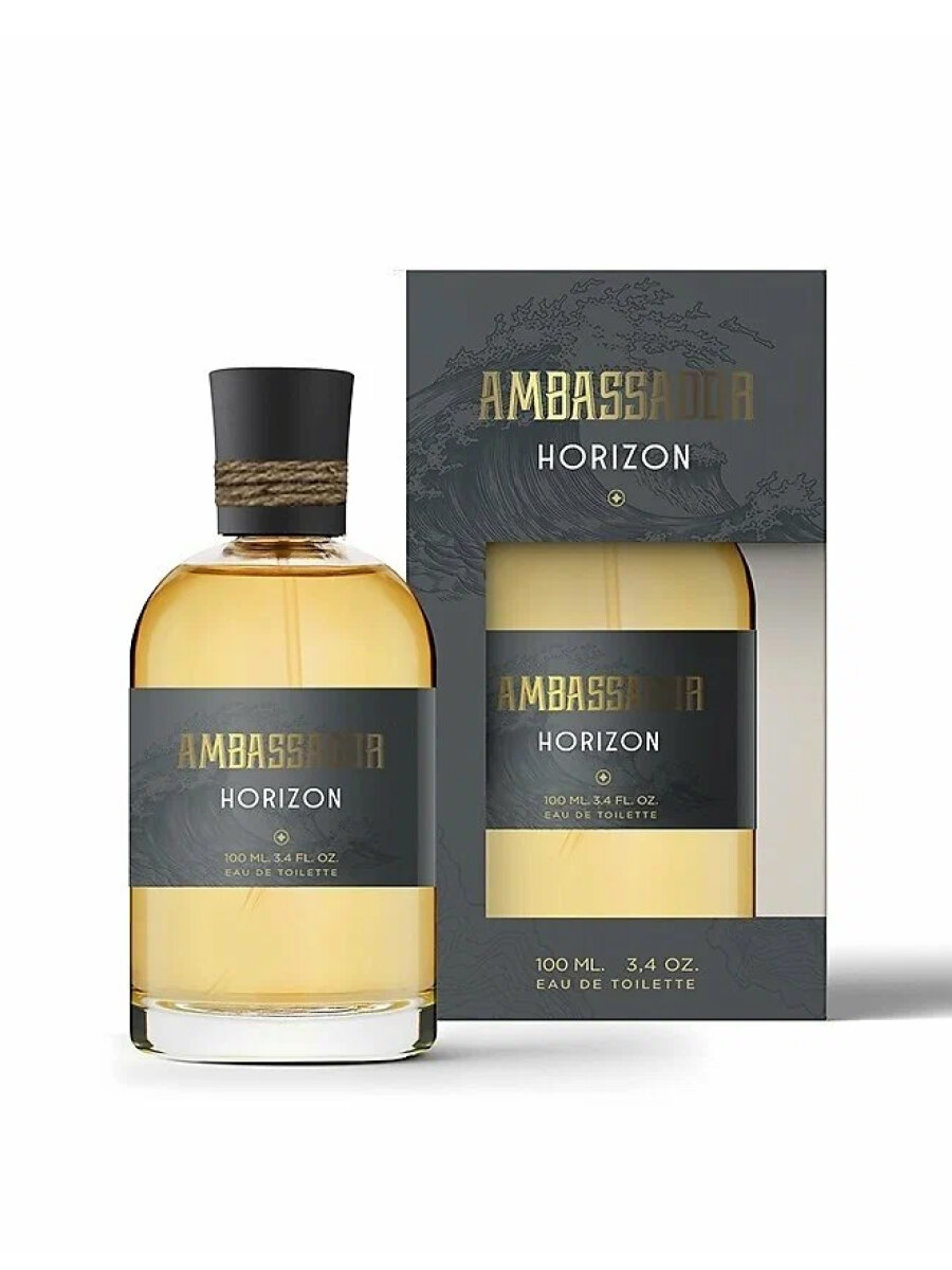 Parfums Genty Ambassador Horizon туалетная вода 100 мл для мужчин