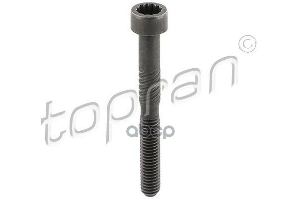 Болт крышки распредвала (замена для HP-119151015) topran арт. 119151001