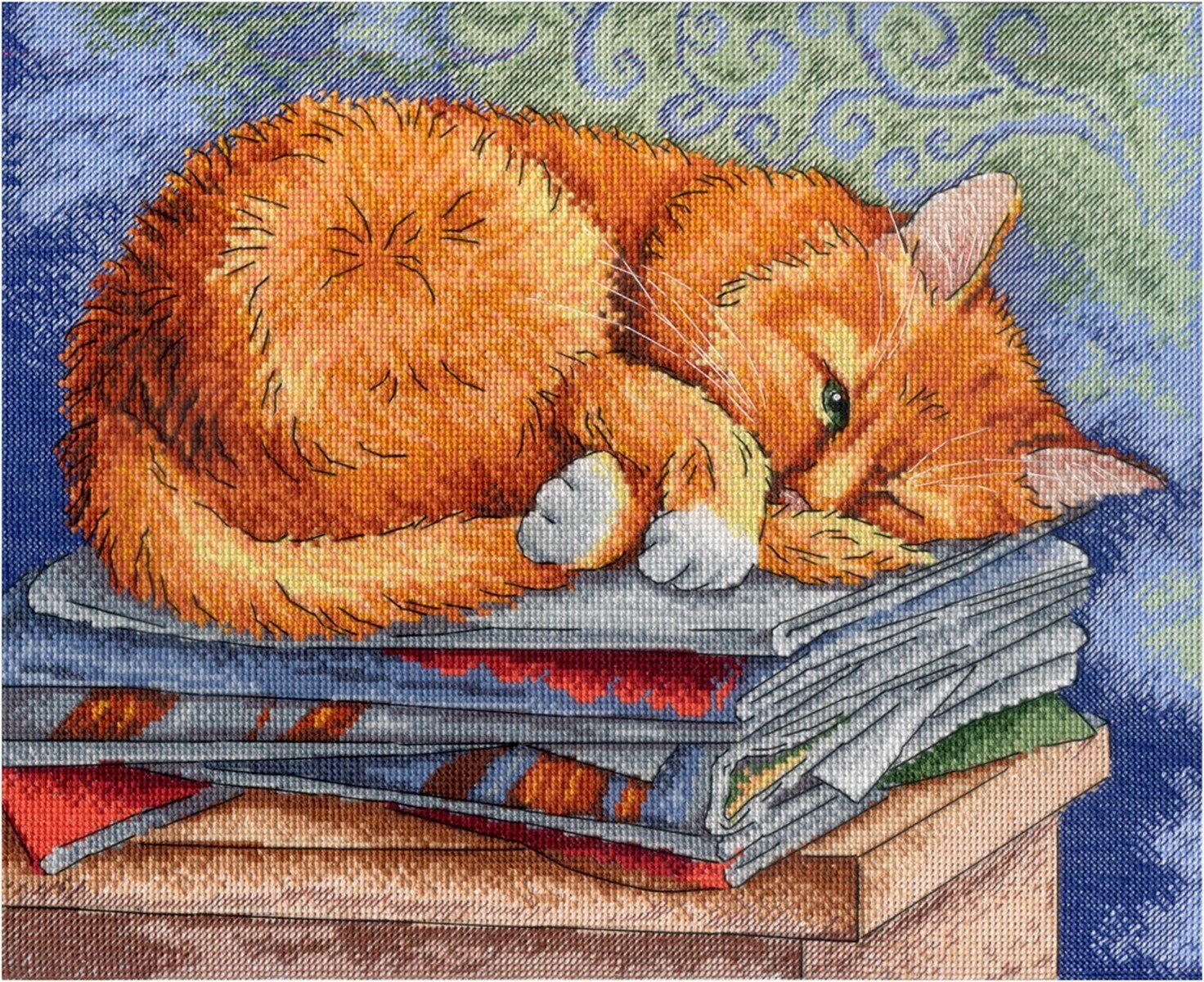 Вышивка Кот ученый 22x27 см.