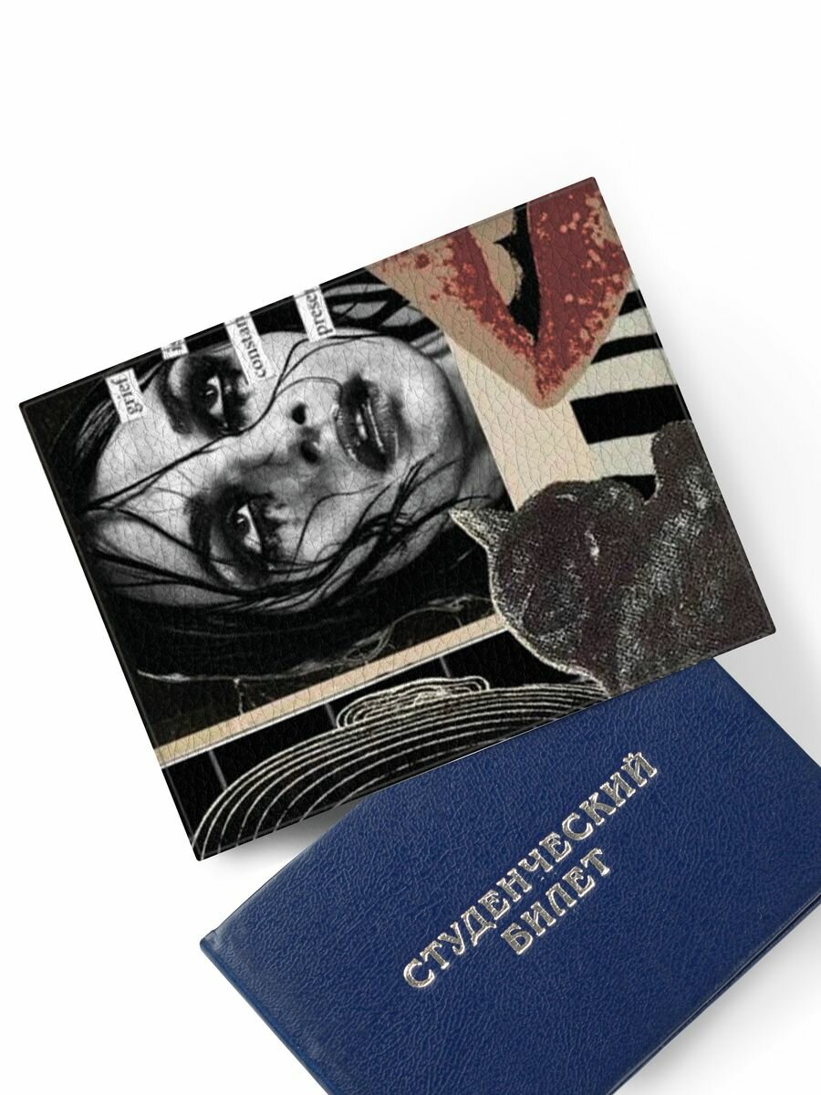 Обложка-карман для студенческого билета